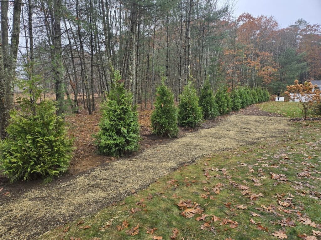 The Best Plant Relocation - Bob Lemieux Landscaping, Inc.